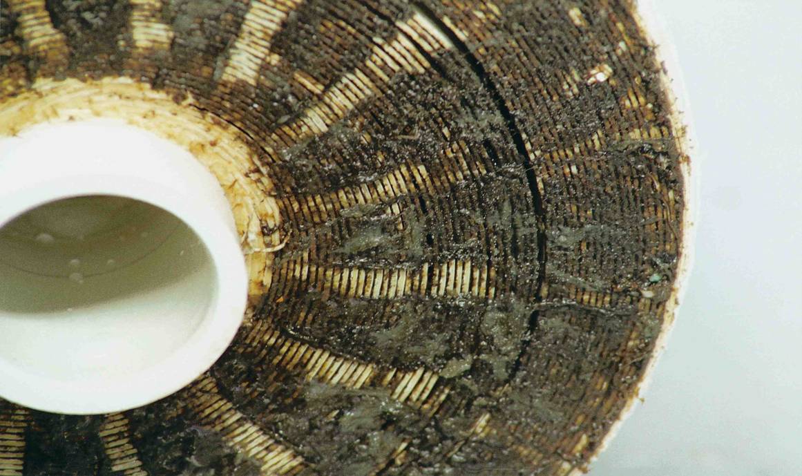 Commonly Asked RO Questions | Complete Water Solutions