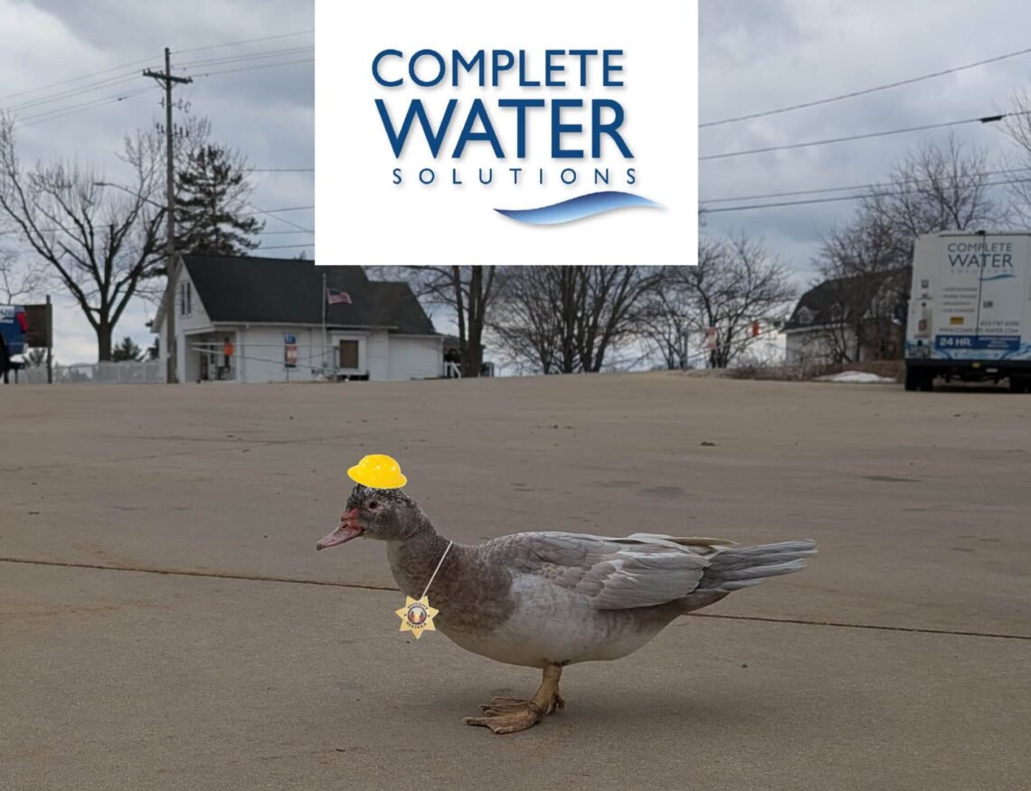 The Mighty Devil Duck Mascot | CWS
