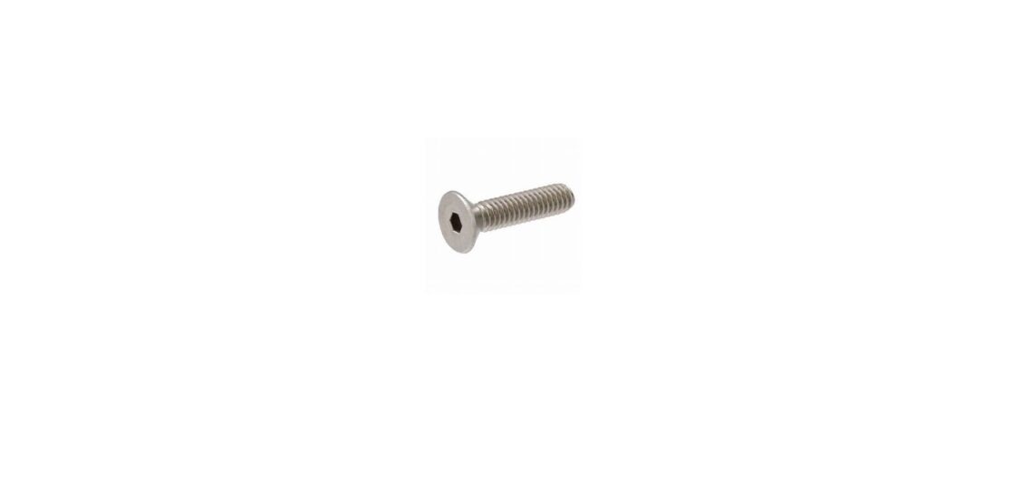 Filter and Membrane Housing Parts – Cap Screw - Screw-Cap, 18/8SS, 0. ...